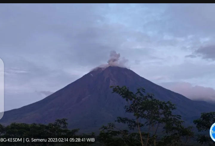 Gunung Semeru Erupsi Lagi, Ketinggian Capai 800 Meter
