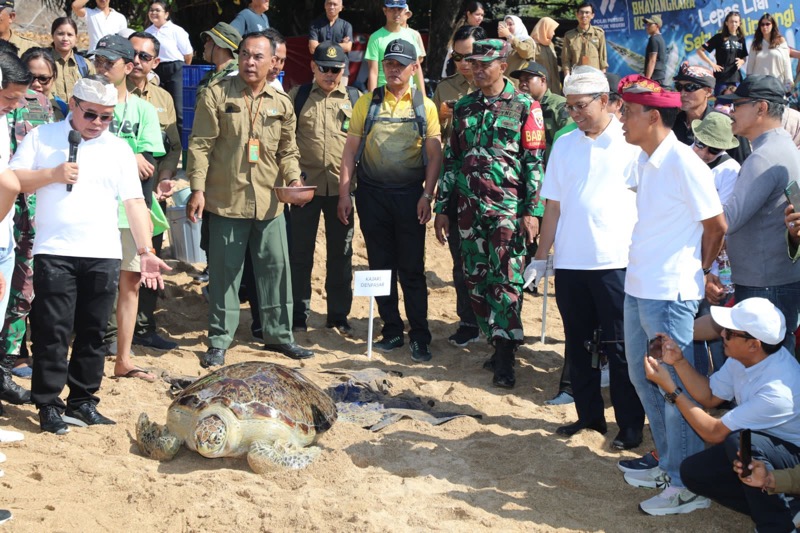 Polda Bali Lepas Satwa Penyu Jelang Hari Bhayangkara ke-77 Polda Bali Lepas Satwa Penyu Jelang Hari Bhayangkara ke-77